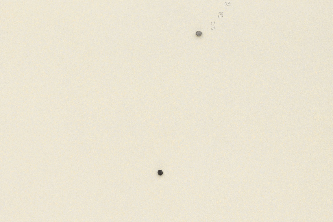 Robert Ryman | Pace Prints