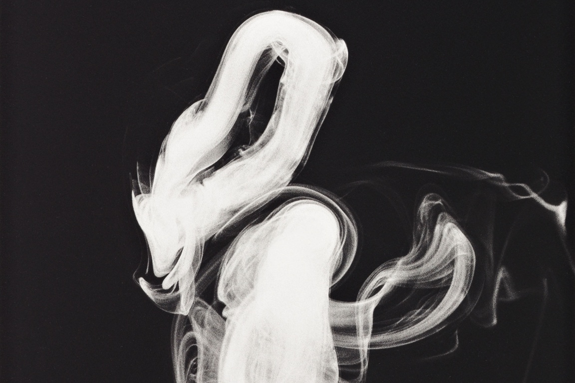 Donald Sultan | Pace Prints
