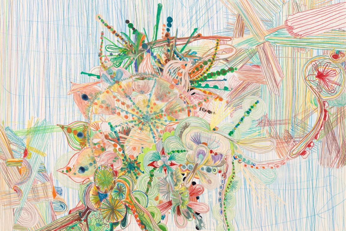 Summer Selections | Pace Prints