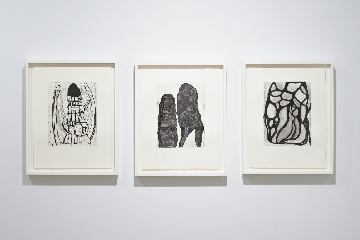 Terry Winters: Field Notes | Pace Prints